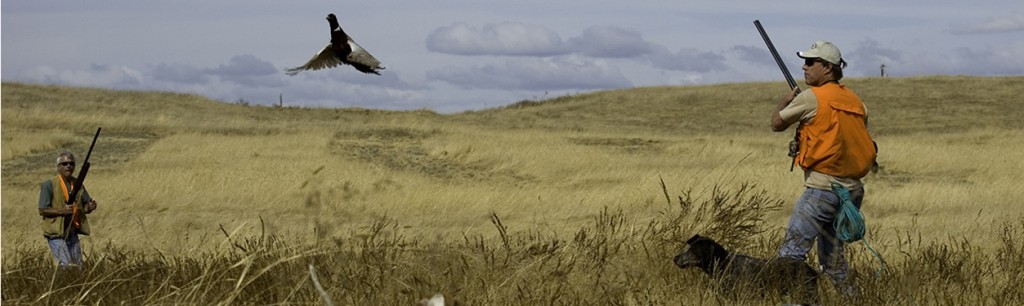 How to Get into Upland Hunting: The Basics