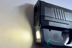 Shedding Light on the SIG SAUER Foxtrot 365 - Review